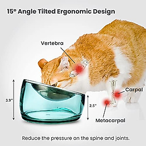 Felli Pet Oblik Whisker Fatigue Friendly Raised Cat Food Bowl Stainless Steel, Anti Vomiting Tilted Shallow Dish Easy Clean, Slanted Flat Metal Feeder Elevated Angled Spill Proof (0.5Cups, Classic)