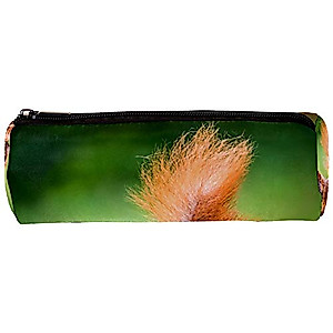 Squirrel Eat Nut in Wild Nature Pattern Pencil Bag Pen Case Stationary Case Pencil Pouch Desk Organizer Makeup Cosmetic Bag for School Office