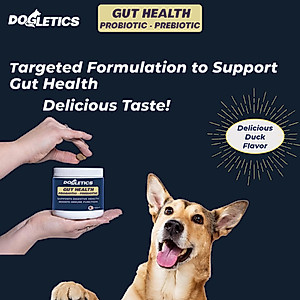 Dogletics Gut Health Probiotic & Prebiotic - 90ct Support Stomach Microbiome, Prevent Digestive Problems, Reduce Anal Gland Issues, Improve Immune Function and Overall Energy