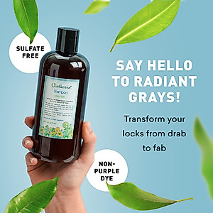 Just Nutritive Gray Hair Shampoo | Gray Hair Treatment | Just Natural Hair Care | Natural Shampoo 16 Oz