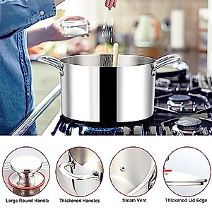 LIANYU 8QT 18/10 Stainless Steel Soup Pot with Lid, 8 Quart Stock Pot With Triple Ply, Heavy Duty Pasta Soup Canning Stockpot, Induction Pot for Boiling Strew Simmer, Big Cookware Cooking Pot