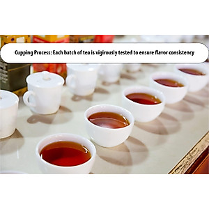 Cozy Up | 6 Flavors | Variety Fruit Tea Sampler Pack | Compatible with Keurig K-Cup Brewers | Multiple Flavors | 36-Count |