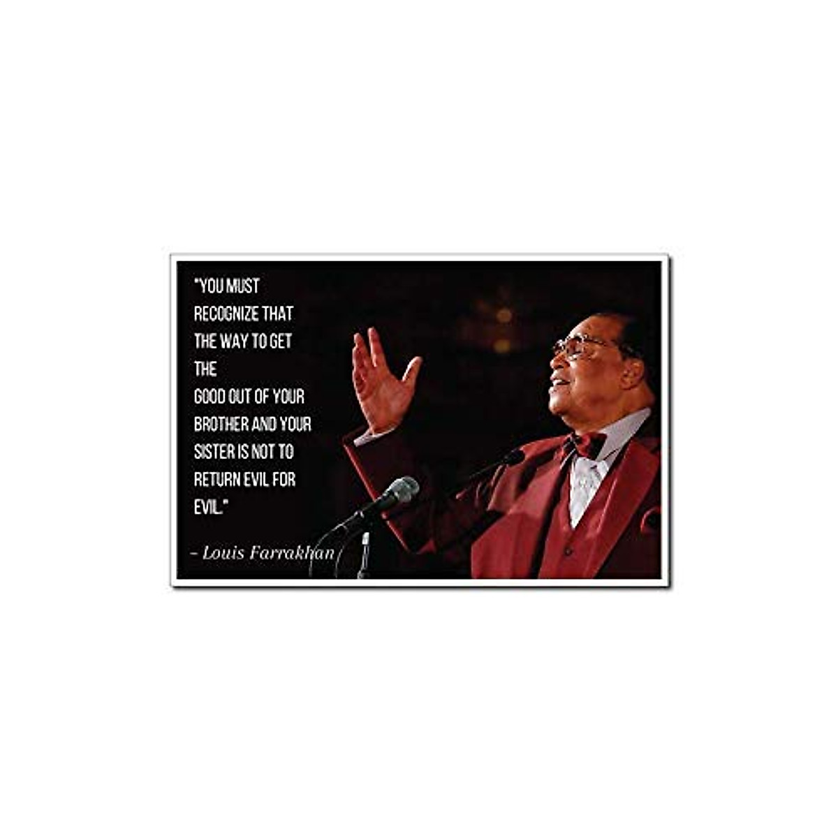 Louis Farrakhan Poster Quote "You must recognize that the way to get the good out of your brother and your sister" Motivational Educational Inspirational 12-Inches by 18-Inches Print Wall Art CAP00083