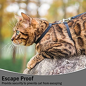 PUPTECK Adjustable Cat Harness Nylon Strap Collar with Leash Black
