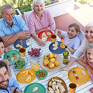 Wheat Straw Dinnerware Sets for 8, Osonm 24PCS Unbreakable Reusable Plastic Plates Bowls Cups Set, Dishwasher Microwave Safe Dishes Set for Camping, RV, Picnic, Kitchen, Dorm (Multicolor)