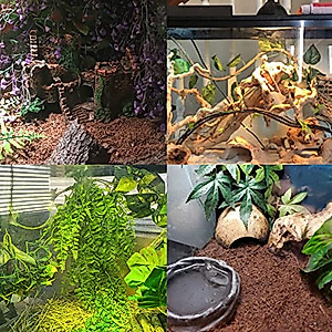 Tfwadmx Resin Classical Castle Reptile Habitat Decorations Lizard Hideouts Cave Coconut Shell Hut Ornament Terrarium Accessories for Chameleon,Gecko,Lizard,Snake and Hermit Crabs