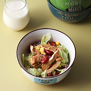 LIFVER Soup Bowls, 24 Ounce Porcelain Cereal Bowls, Retro Style Bowl Set for Desserts, Side Salad, Oatmeal Pasta Rice, Sturdy and Deep, No Stain, Steam Dishwasher & Microwave Safe, Set of 4