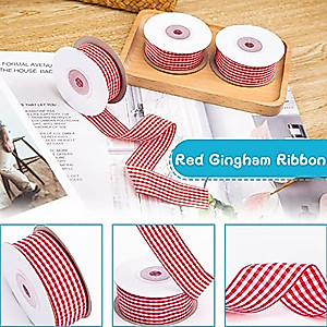 TOXOY 3 Rolls Red Gingham Ribbon and 18PCS Easter Kraft Gift Bags
