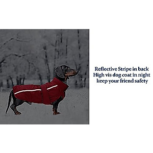 Dachshund Coat Waterproof, Perfect for Dachshund Sausage, Puppy Winter Jacket with Padded Fleece Lining, Outdoor Dog Clothing with Adjustable Bands and Underbelly Protection - Red - XS