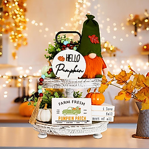 Liswit Set of 9 Fall Tiered Tray Decor with Gnome Book Stack Hello Pumpkin 3 Artificial Pumpkins & Bead for Autumn Halloween Thanksgiving Harvest Decoration Home Decor Set