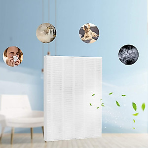 KEYJINIU - DX95 Filter Compatible with AeraMax 290 AeraMax 300 DX95 Contains (1 Filters + 4 Carbon Filters)