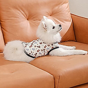 Katenpid Pet Shirts Printed Puppy Shirts Dog Sweatshirt Cute Dog Clothing Cotton Dog Pullover Soft Shirt for Pet Dogs Cats (X-Large, Bear)