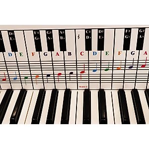 QMG Piano and Keyboard Note Chart, Use Behind the Keys, Ideal Visual Tool for Beginners Learning Piano or Keyboard, Easy to Set Up, for any Medium to Full Size Piano or Keyboard, Cover Four Octaves