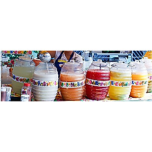 Eleganceinlife Aguas Frescas 5 Gallon Vitrolero Plastic Water Container For Water and Juice Party