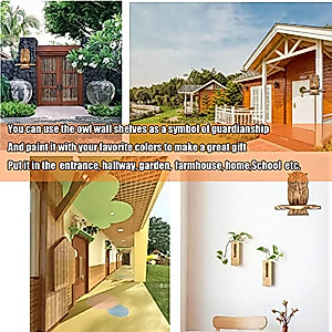 HY&GH Floating Shelves for Wall with Unique Owl Sculpture Statue Wood Hanging Shelves Plant Holder Shelf for Farmhouse Decor Living Room Decorations Wall-Mounted Display Rack