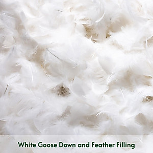 OTOSTAR Pack of 2 Down and Feather Throw Pillow Inserts, 28 x 28 Soft Fluffy Square Pillow Inserts with 100% Cotton Cover Decorative Pillows for Sofa Couch Bed-White