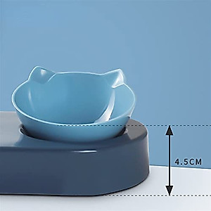 FUUIE Bowls for Food and Water Pet Automatic Water Storage Bowl Pet Bowl (Color : Blue)