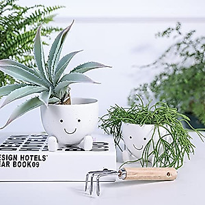 AIMEBBY Face Flower Pot Face Head Planter for Indoor Plants Succulent Planters with Drainage Hole Resin Planter 4 Inches