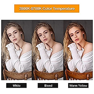 Wisamic Softbox Lighting Kit, 20X28 inch Photography Softbox Kit, 2800K-5700K 85W E27 Dimmable LED Light Head with Remote, Professional Photo Studio Equipment for Camera Product Shooting Selfie