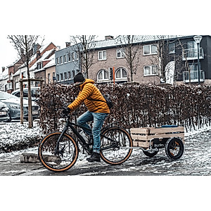 Burley Flatbed™, Aluminum Utility Cargo Bike Trailer