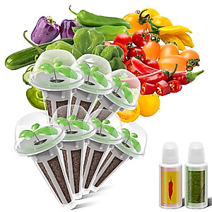 Inbloom Tomato Seed Pod Kit for Aerogarden, Hydroponics Growing System Kit 7-Pods (300+ Seeds Included Cherry Tomato, Pepper & Cucumber), Grow Anything Hydroponics Supplies for IDoo Ahopegarden