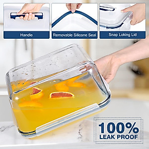 MYJIE [Extra Large] Glass Storage Containers with Lids - 220 Oz/28 Cup Oven Safe Large Glass Food Storage Containers with Handle for Storing Chicken,Vegetables,Fruits,Baking Turkey,Lasagna