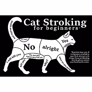 Wall Decor Cat Pictures Cat Stroking for Beginners Black and White Cat Decor for Cat Lovers Bedroom