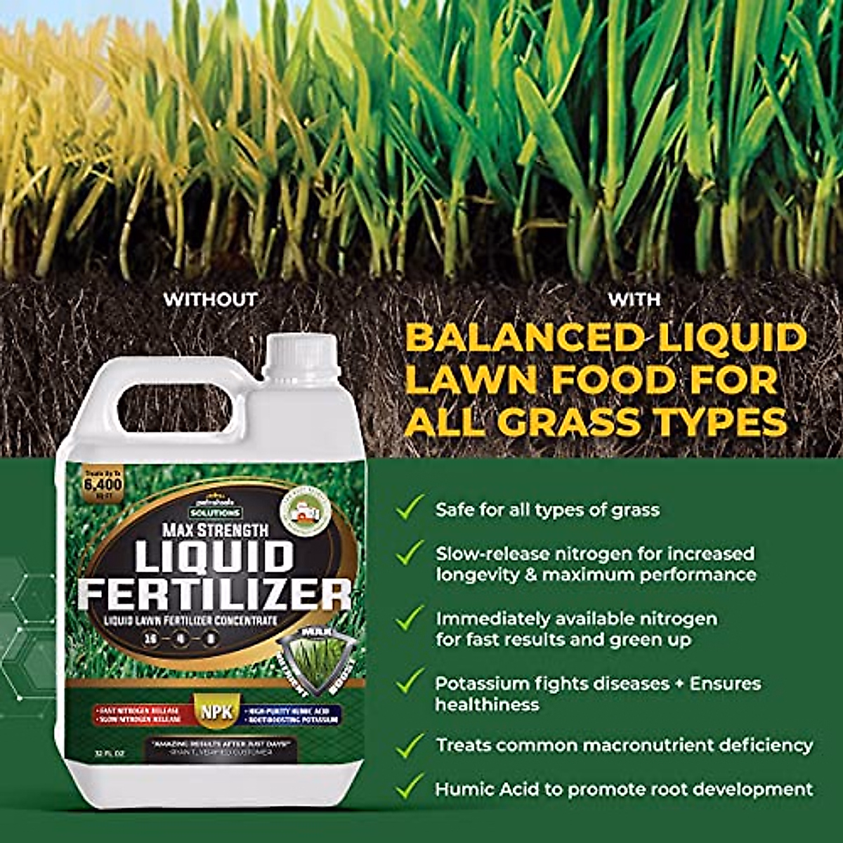 PetraTools Liquid Dethatcher (32oz) and Liquid 16-4-8 Lawn Fertilizer (32 oz)