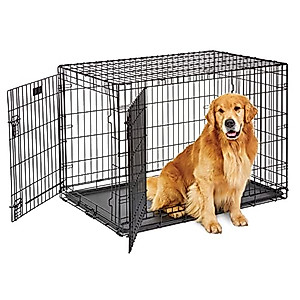 MidWest Homes for Pets Large Dog Crate | MidWest Life Stages Double Door Folding Metal Crate | Divider Panel, Floor Protecting Feet, Leak-Proof Pan | 42L x 28W x 30H Inches For Large Dog Breed