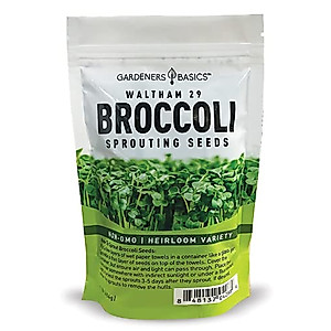 Broccoli Seeds for Sprouting Kit and Microgreens Non-GMO, Heirloom Bulk 1 Pound Resealable Sprouts Bag by Gardeners Basics