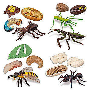 Toymany 16PCS Insect Figurines Life Cycle of Stag Beetle,Honey Bee,Mantis,Ant Plastic Safariology Bug Figures Toy Kit Caterpillars to Butterflies Educational School Project for Kids Toddlers