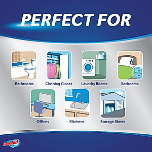 DampRid Refill Bag, 42 oz., 4-Pack - Fragrance Free Moisture Absorbers for Rooms with Excess Humidity, Long-Lasting, Inhibits Mold & Mildew