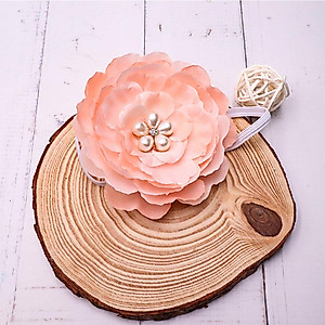 Baby Tutu Skirt Infant Tutus Baby Girls & Toddlers Girls Pink Tulle Tutu First Birthday Tutu Skirt Sets with Flower Headband