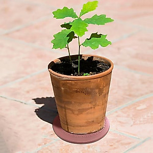 LapWorks 12 inch Rotating Plant Swivel Stand and Bonsai Turntable - Heavy-Duty Lazy Susan Base for Indoor & Outdoor Potted Plants, Gardening, and Sunlight Management (Tuscan Terra Cotta)