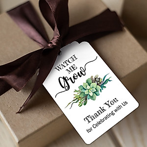 Watch Me Grow Tags for Baby Shower Succulents, Baby Shower Thank You Tags, Baby Shower Favor Tags, 1.7 x 2.8 Inch, 50 Pack with Golden Ribbon.