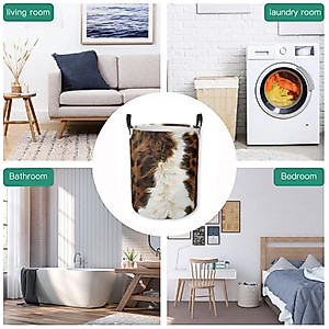 Laundry Basket Brown Cow Print Collapsible Laundry Hamper with Handles Clothes Storage Bin for Household Bedroom Bathroom College Dorms