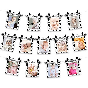 JOYMEMO 13PCs Cow 12 Month Photo Banner - 1st Birthday Baby Banner for Newborn to 12 Months, Cow Print Birthday Party Decorations, Farm Barnyard Cowboy Cowgirl First Birthday Party Supplies
