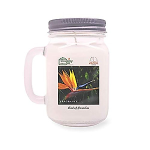 Country Jar Bird of Paradise Soy Mason Handle Candle (16 oz.) 100 Burn Hours - Made with US Grown SuperSoy