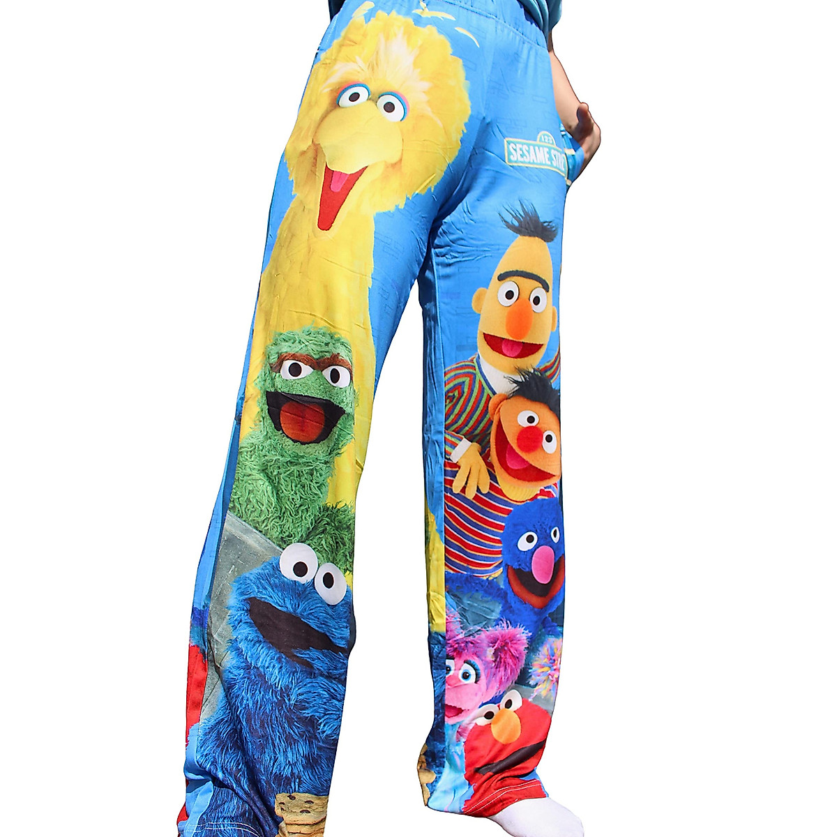 BRIEF INSANITY Sesame Street Adult Lounge Pajama Pants - Comfy, Loose-Fit, Ultra-Soft - Sesame Street Group Sleep Bottoms (Large)