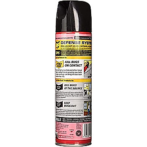 Raid Ant and Roach Killer 17.5 Ounce (Pack of 3)
