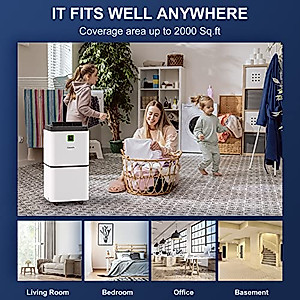 Lienuis 25 Pints Dehumidifiers for Home and Basements, Large Room, Bedroom, Bathroom, 2000 Sq. Ft. Dehumidifier with Drain Hose and Water Tank, Auto or Manual Drainage, 12H Timer, Auto Defrost, Child Lock