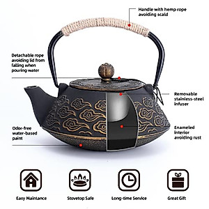 MILVBUSISS Cast Iron Teapot, Japanese Tea Pot with Infuser for Loose Leaf, Tea Kettle Stovetop Safe Coated with Enameled Interior, Clouds Pattern 27oz, 800ml Black