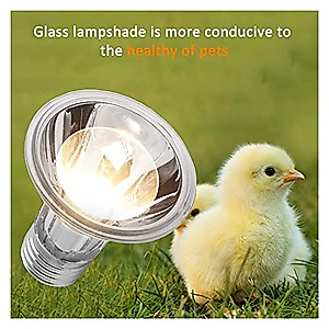 Dehydrator Pet Warmer Chicken Coop Heaters 3 Modes Adjustable Wattage Lighting Function Brooding Heating for Cats Dogs Poultry