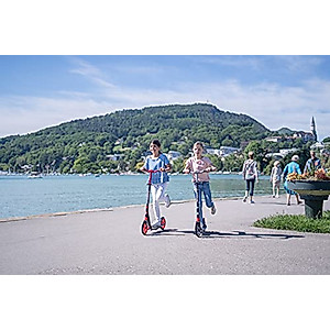 Globber 2 Wheel Kick Scooter for Teens and Adults Ages 41+ | Adjustable T-Bar Scooter with 3 Height Settings | Foldable Kick Scooter for Easy and Convinent Travel & Storage (Black & Grey)