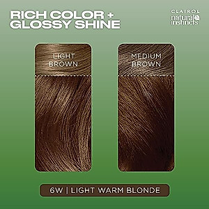 Clairol Natural Instincts Demi-Permanent Hair Dye, 6W Light Warm Brown Hair Color, Pack of 1