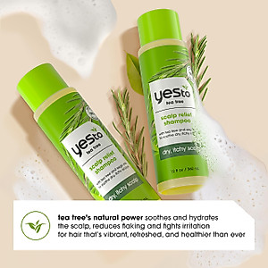 Yes To Tea Tree Shampoo with pH Balancing Formula, Nourishing Sage Oil, for Dry, Itchy Scalp Relief, Natural, Vegan & Cruelty Free, 12 Fl Oz
