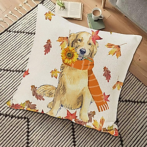 SPXUBZ Fall Throw Pillow Cover 18x18 Inch Autumn Dog Golden Retriever Home Decor Thanksgiving Farmhouse Nice Gift Square Indoor Linen Pillowcase Cushion(Two Sides Print)