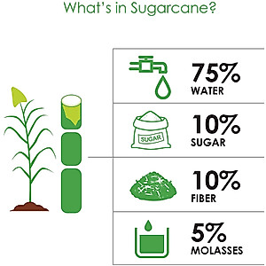 Tellus Products, Eco-Friendly (125-Count) 12 Oz Disposable Bowls - Compostable, Durable Tableware - Grown & Made in the USA - No PFAS Added (Natural Color)
