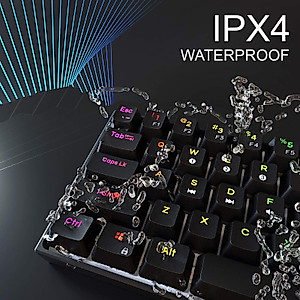 DIERYA DK61E 60% Percent Mechanical Gaming Keyboard, Optical Blue Clicky Switch, PBT Keycap, RGB Backlit, Waterproof, Wired USB C Mechanical Keyboard with Full Keys Programmable