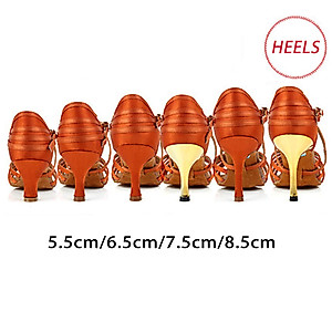 TINRYMX Women's Professional Latin Dance Shoes Ballroom Party Practice Performance High Heel Sandals,Light Nude, 8.5 B(M) US